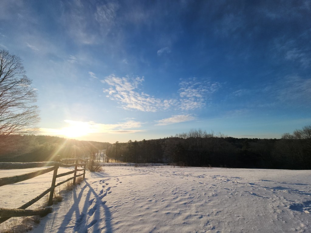 PROFESSIONAL DEVELOPMENT – Shawnette Brown